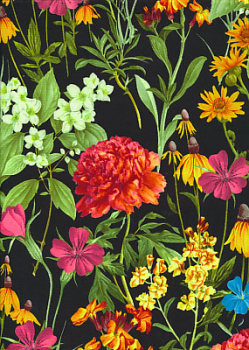 Regular Trunks – Aussie Togs